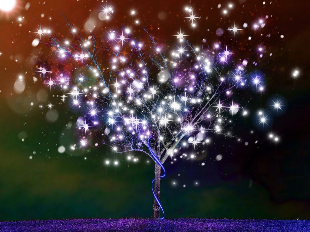 The Tree of Tyler – Psychic Carla Baron